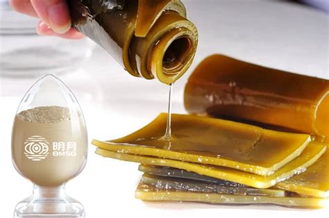 岩藻多糖与海藻多糖是什么关系？二者有区别吗？ 知乎