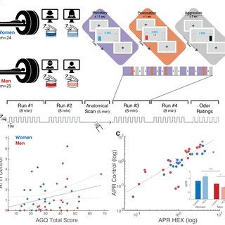 Exposure To HEX Modulated Aggressive Behavior In A Sex Dependent Manner Download Scientific