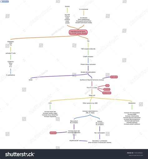 Made Concept Map Case Impending Thyroid Stock Illustration 1935349261