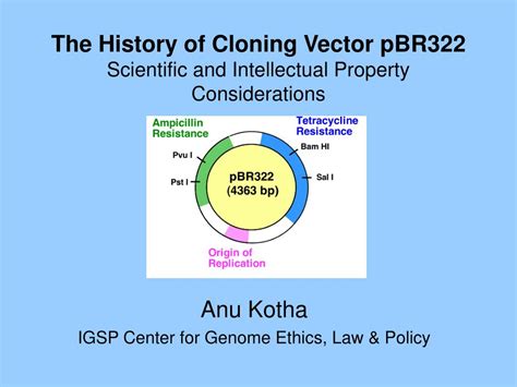 Ppt The History Of Cloning Vector Pbr322 Scientific And Intellectual Property Considerations