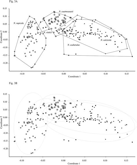 Principal Coordinates Analysis Pcoa Of Three Morphological Characters