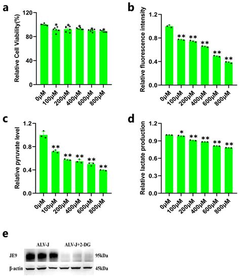 Rna Seq Analysis Of Glycolysis Regulation Of Avian Leukosis Virus