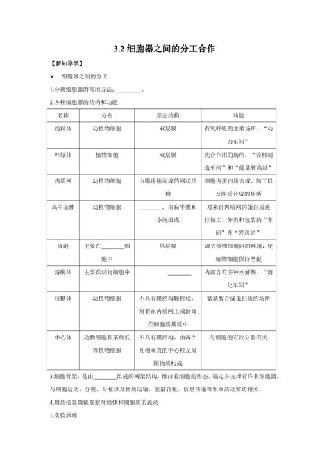 3 2细胞器之间的分工合作 导学案——2022 2023学年高一生物人教版（2019）必修一 21世纪教育网