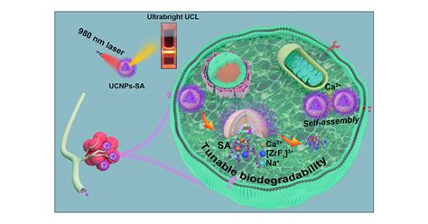 Tumor Responsive Upconversion Nanoparticles With Tunable Degradability