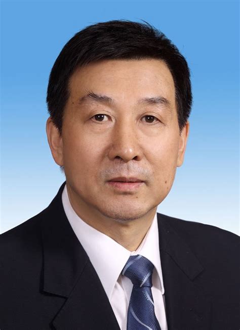 Wang Yong Politician Alchetron The Free Social Encyclopedia