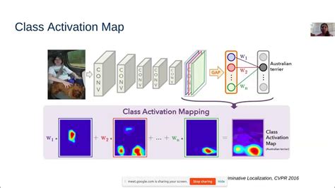 Deep Learning For Computer Vision Noc22 Cs76 Week 6 Explaining Cnns