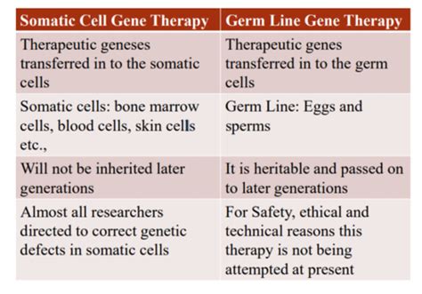 Manipulating Genomes Flashcards Quizlet Manipulating Genomes Flashcards Quizlet