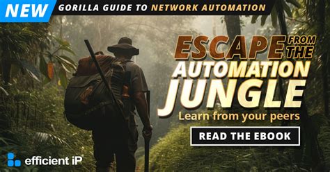 Efficientip On Linkedin Gorilla Guide 5 Steps For A Successful Network Automation Journey