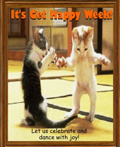 Cat Happy Friday Dance