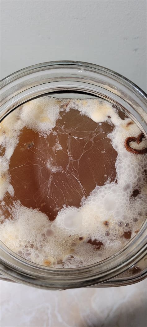 First Post Kahm Yeast Question R Fermentation
