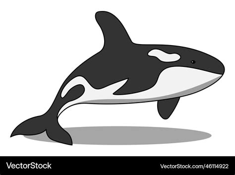Orca Or Killer Whale Cartoon Royalty Free Vector Image