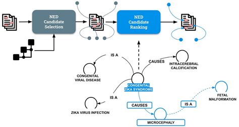 Towards Named Entity Disambiguation With Graph Embeddings Towards Data Science