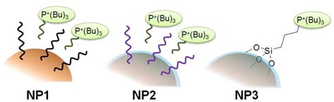 Figure 8 From Design Of Functionalized Nanoparticles For The Applications In Nanobiotechnology