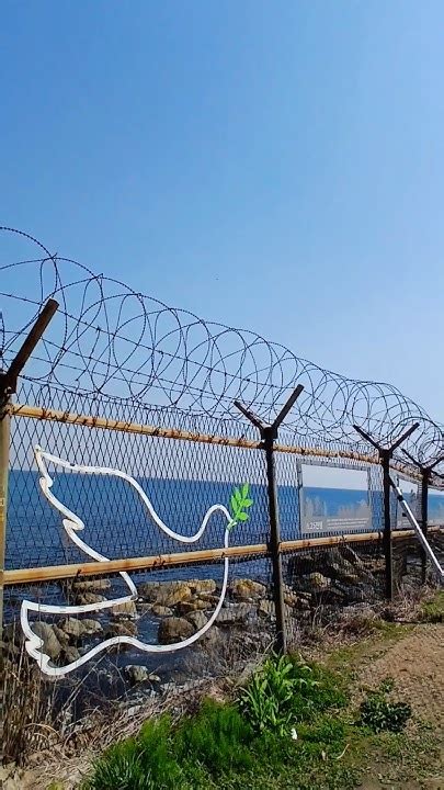 변덕스런 봄이었지만 화들짝 놀랜 봄을 찾아 날 피해 갈순 없따이~25 53 Youtube