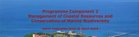 Marine Protected Areas Management Cooperation In The Caribbean