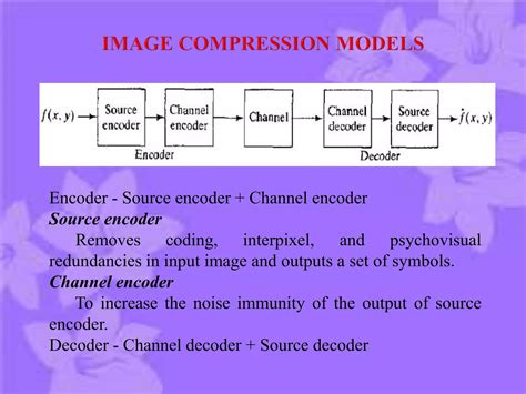 Fundamentals And Image Compression Models Pptx