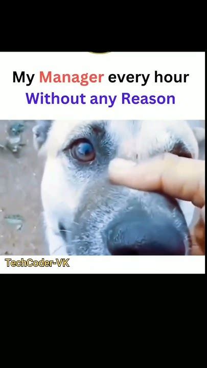 😆😁programming Webdevelopment Project C Javascript Shortvideo Youtube