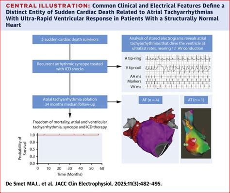 Jacc Clinical Electrophysiology Vol 11 No 3