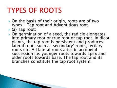 Root Characteristics Types Structure And Functions Pptx