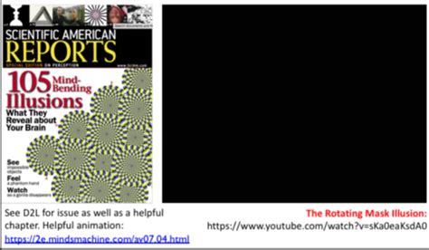 Vision Flashcards Quizlet