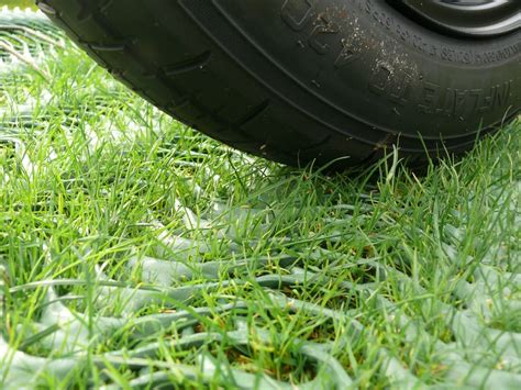 Grassprotecta™ Grass Reinforcement Mesh Images