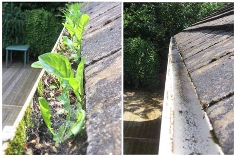 Gutter Empty Barnstaple Window Cleaning