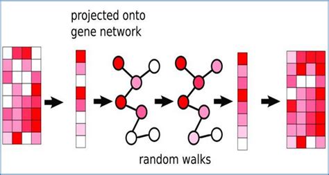 Netsmooth Network Smoothing Based Imputation For Single Cell Rna Seq Rna Seq Blog