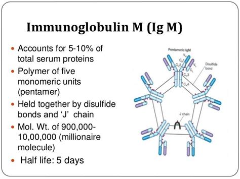 Immunoglobulins Complement And Immunodefeciency Disorders