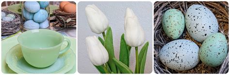 Hardy Drought Tolerant Plants For Your Spring Garden My Thrift Store