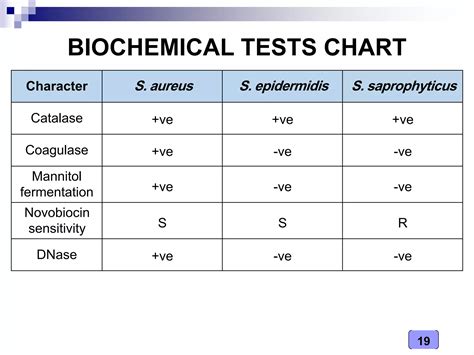 L13 Medical Microbiology Laboratory Staphylococcus Spp Pdf