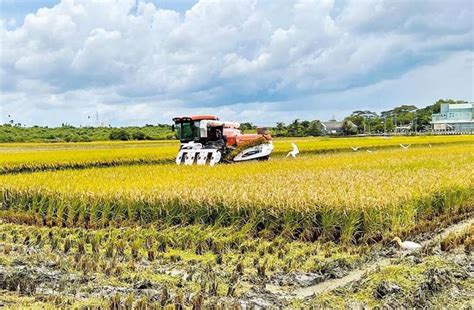 不甩公糧調漲 農業部續推1集2轉3加3 確保農民權益 生活 工商時報