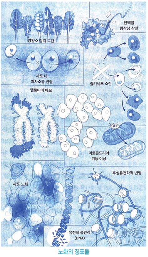 노화의 종말 하버드 의대 수명 혁명 프로젝트 증산도 월간개벽
