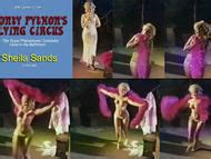Monty Python S Flying Circus Nude Pics Page