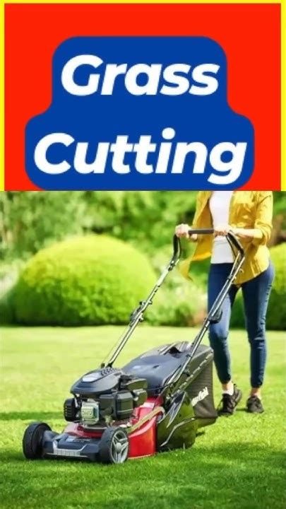 Top Grass Cutting Tips And Tricks For A Perfect Lawn Easy Lawn Care Hacks Youtube