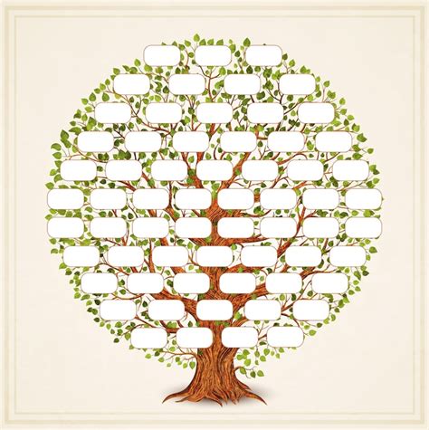 Foto Di Albero Genealogico Svg Scarica Immagini Gratuite Di Alta Qualità Freepik