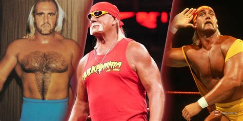 Hulk Hogans Body Transformation Over The Years