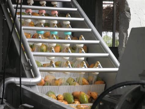 Automatic Fully Ss 304 Mango Processing Plant 1 Ton 1ton At Rs 250000
