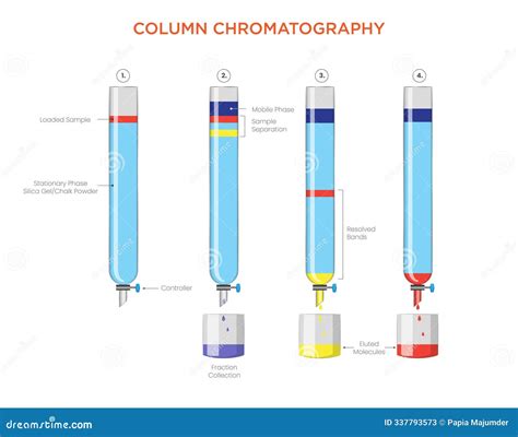 Efficient Separation Technique Column Chromatography Cartoon Vector 337793573