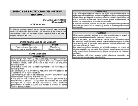 Introducción A La Neuroanatomia Docsity
