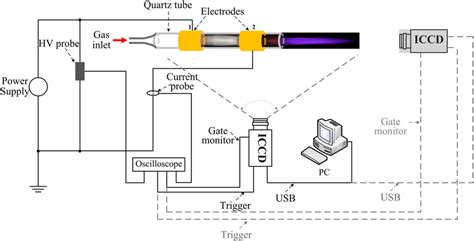 Experimental Schematic Download Scientific Diagram