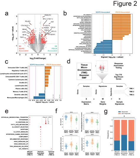 Transcriptomic Features Associated With Response And Resistance In The Download Scientific