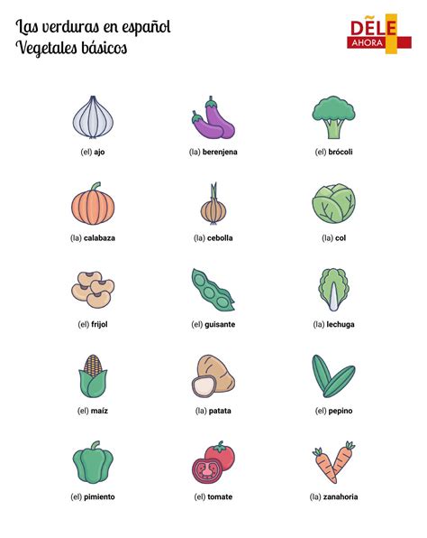 Nombres De Vegetales Verdes Las Verduras En Español Nombres De