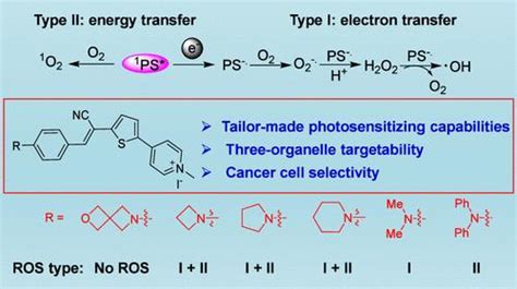 单分子 Trifecta Pdt：量身定制的三细胞器靶向 I 型光敏剂，用于缺氧下癌细胞选择性光动力治疗acs Materials Letters X Mol