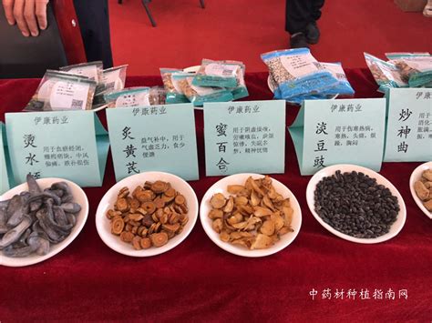2018年国际药材节及药都安国药交会 中药材种植指南网 药市动态 2009年第18届国际药材节及药都安国药交会