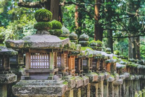 Kasuga Taisha Shrine Nara Japan Nara Park Website