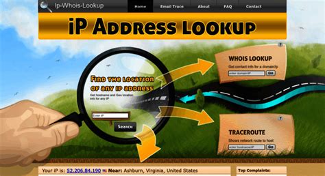 Access Ip Whois What Is My Ip