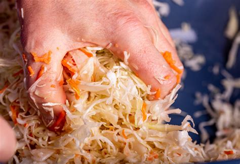 발효를 준비하십시오 잘게 썬 양배추를 손에서 용기에 부어 추가 효모를 만듭니다 효모를위한 흰 양배추 갈기갈기 찢어진에 대한 스톡 사진 및 기타 이미지 Istock