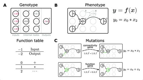 Representation And Mutation Of Mathematical Expressions In Cartesian Download Scientific