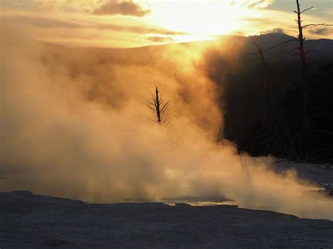 Steamy Morning At The Terraces Photograph By Jenny Golding Pixels