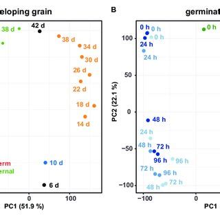 Principal Component Analysis Of RNA Seq Data For The RNA Seq Data Of Download Scientific